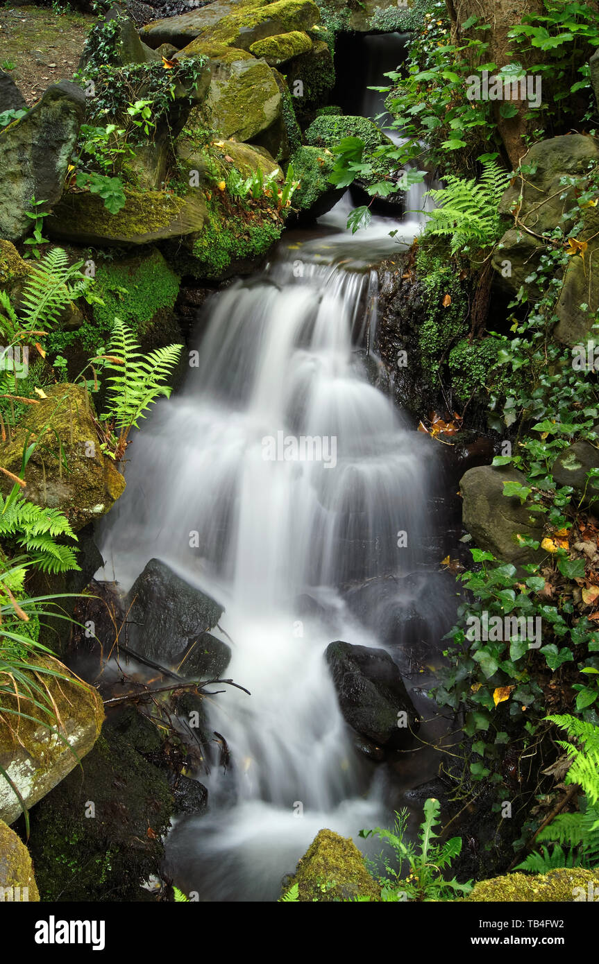 UK, South Yorkshire, Sheffield, Endcliffe Park Waterfalls Stock Photo ...