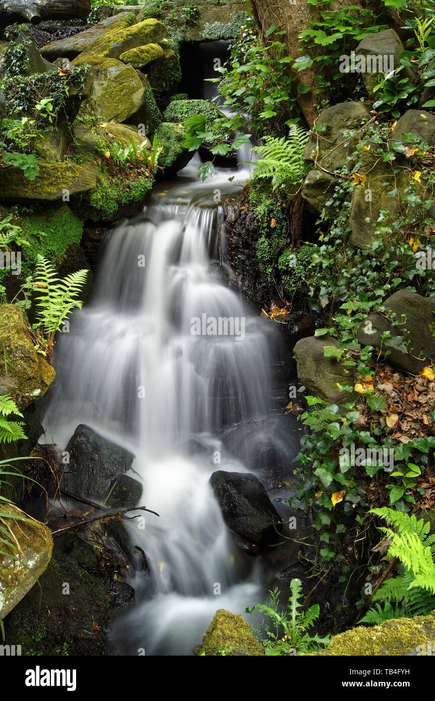 Endcliffe park falls hi-res stock photography and images - Alamy