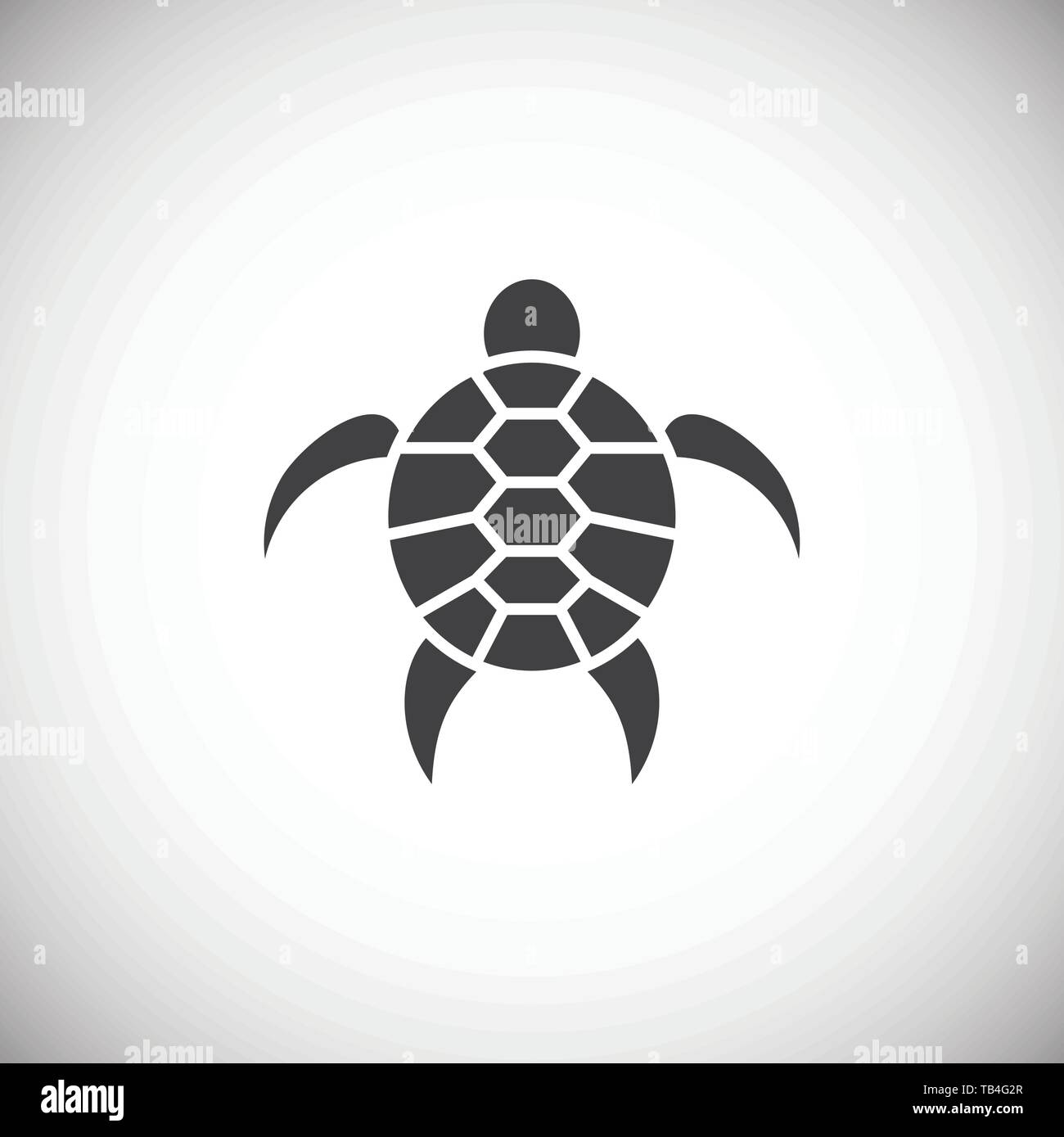 Simple Turtle Designs