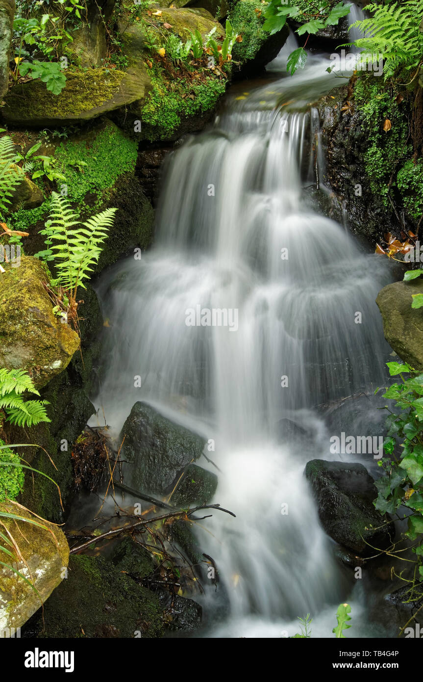 UK, South Yorkshire, Sheffield, Endcliffe Park Waterfalls Stock Photo ...