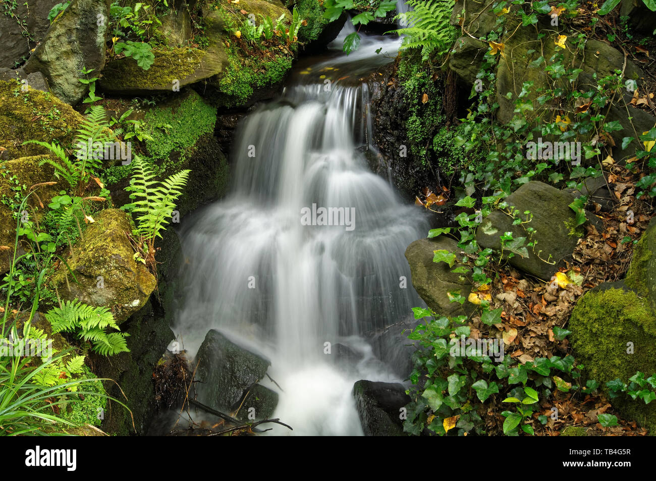 Endcliffe Park High Resolution Stock Photography and Images - Alamy