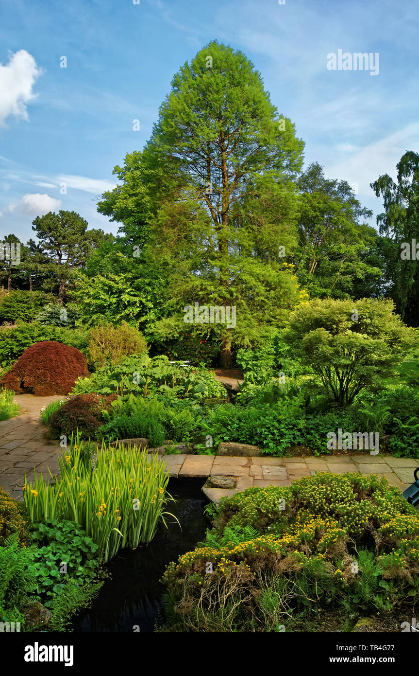 Robert marnock hi-res stock photography and images - Alamy