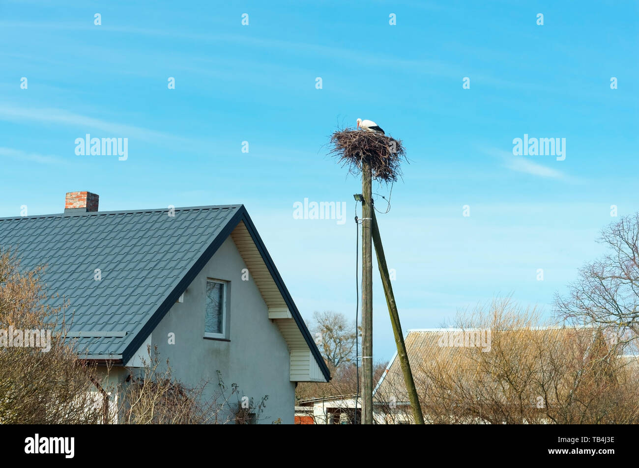 Empty nest house hi-res stock photography and images - Alamy
