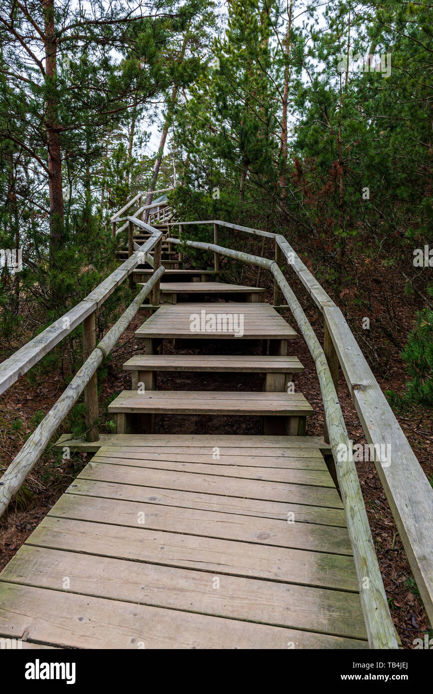 wooden fire watchtower construction details. forest tower Stock Photo ...
