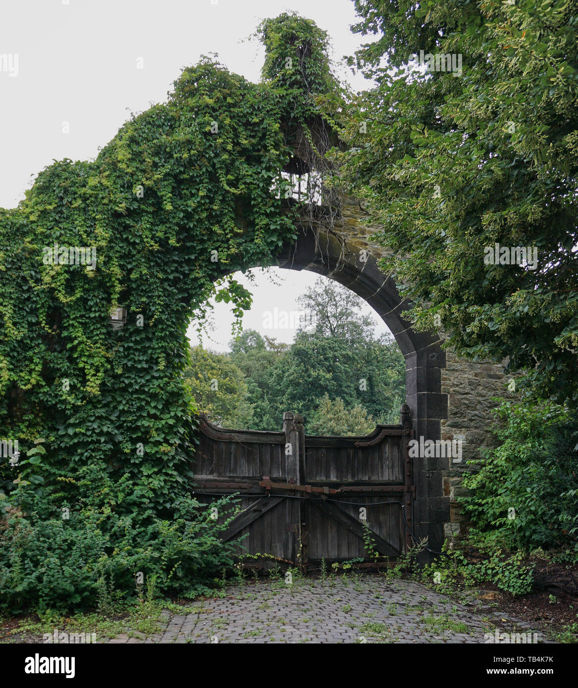 Stone arch over green door hi-res stock photography and images - Alamy