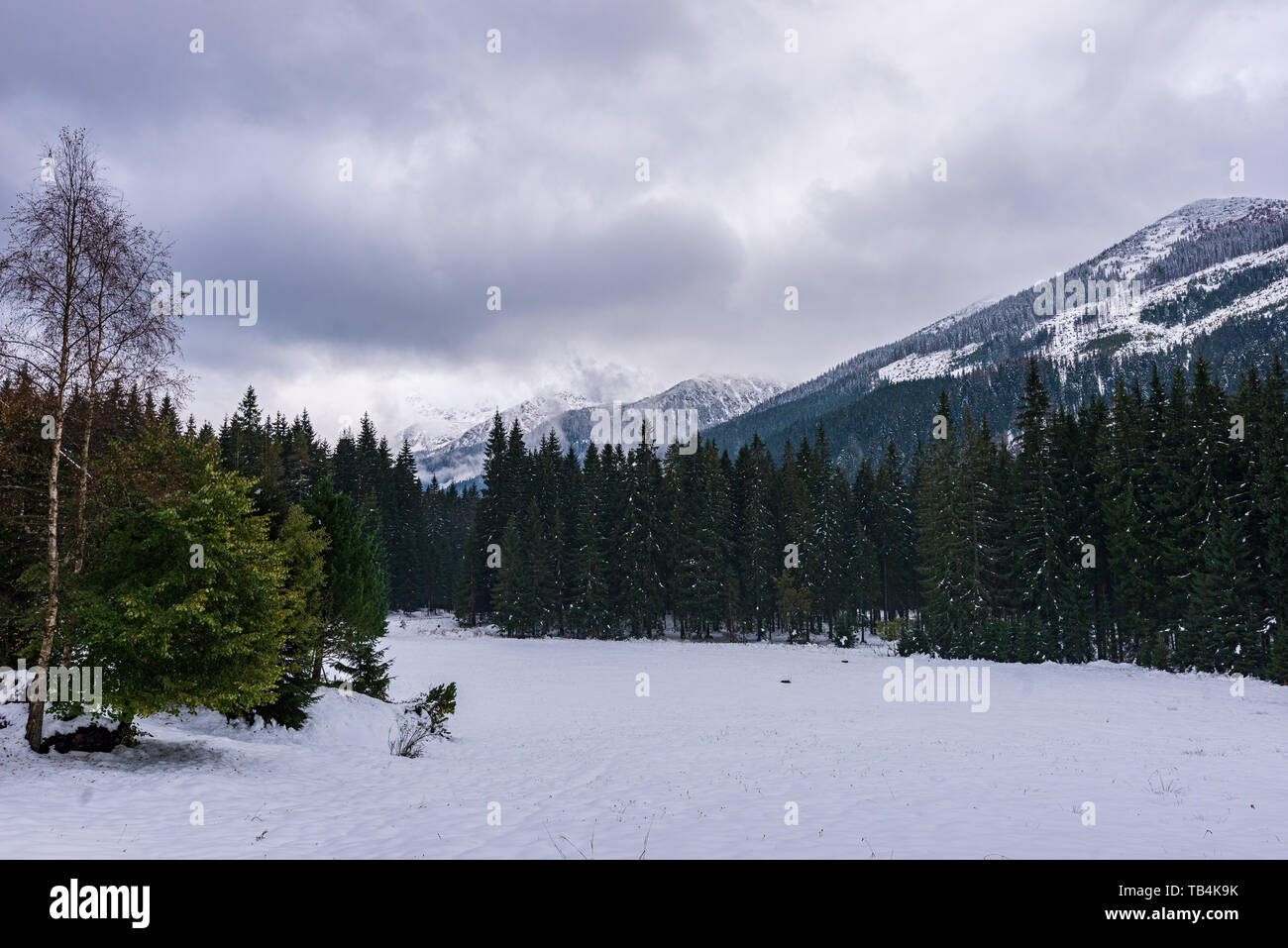 slovakia tatra mountain tourist hiking trails under snow in winter time ...