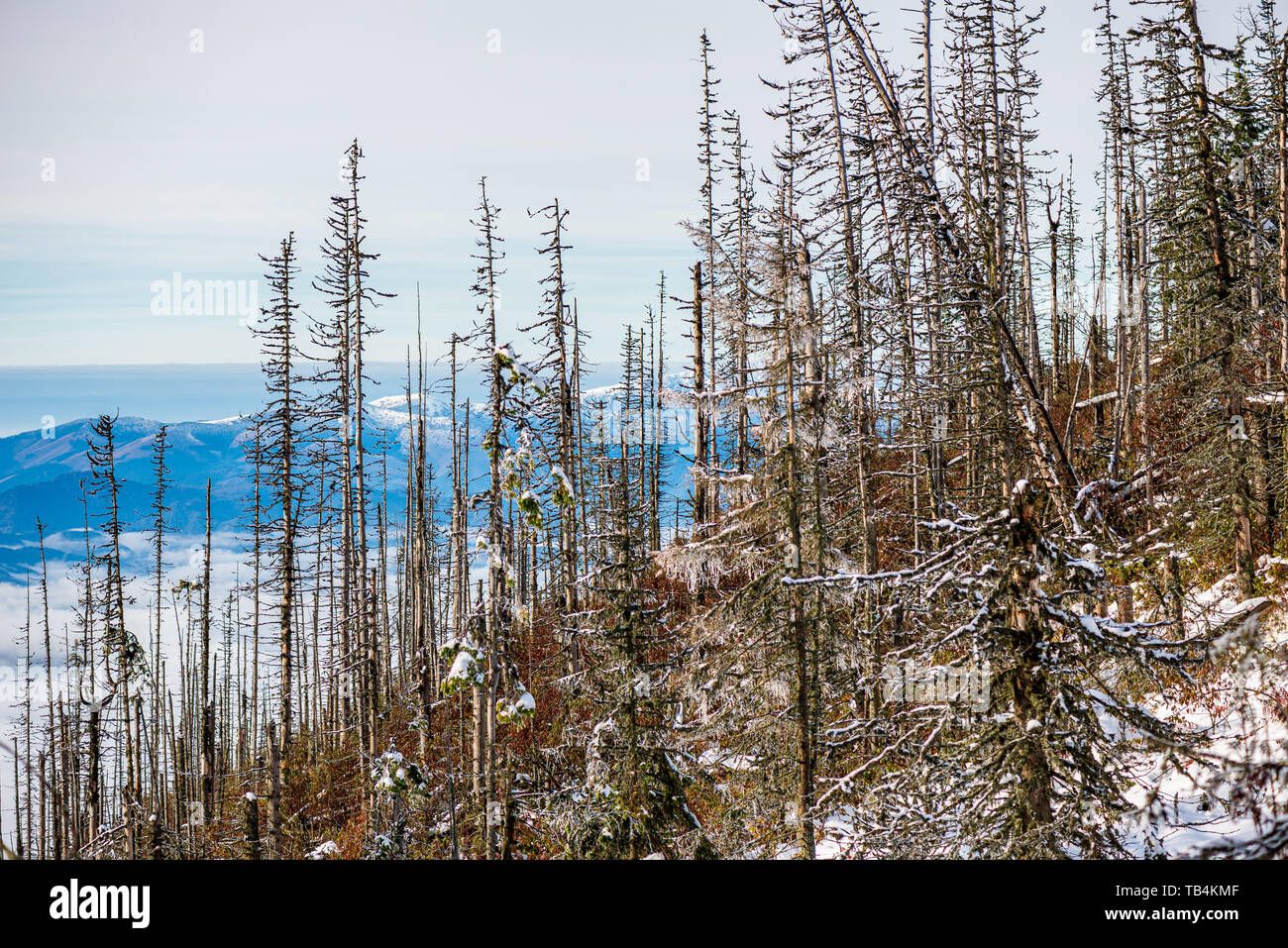 slovakia tatra mountain tourist hiking trails under snow in winter time ...