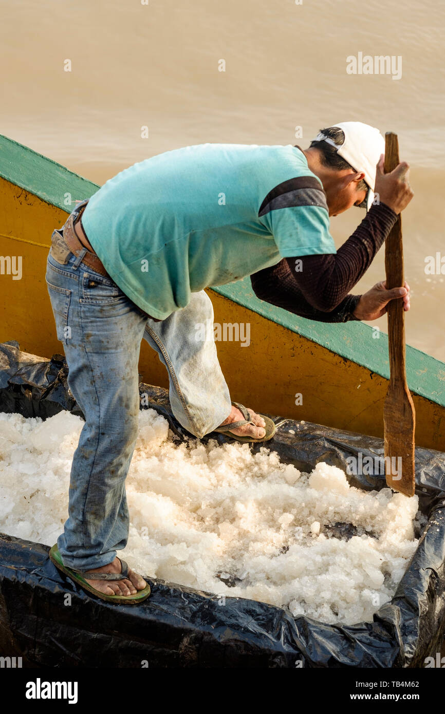 Local fisherman fixing the ice for his fish cargo at ferry Iquitos ...