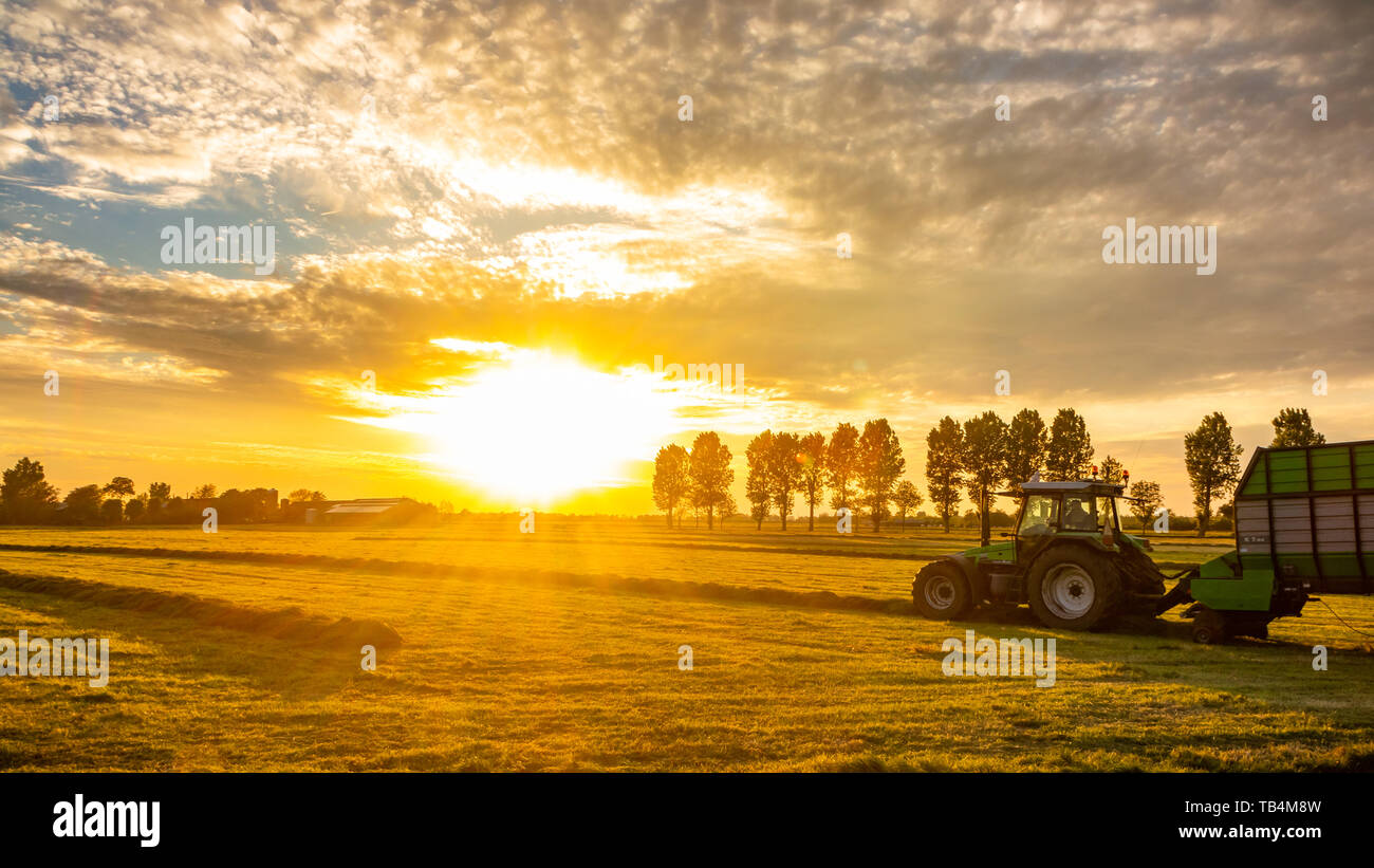 farming field at sunrise with farm tractor truck Stock Photo - Alamy