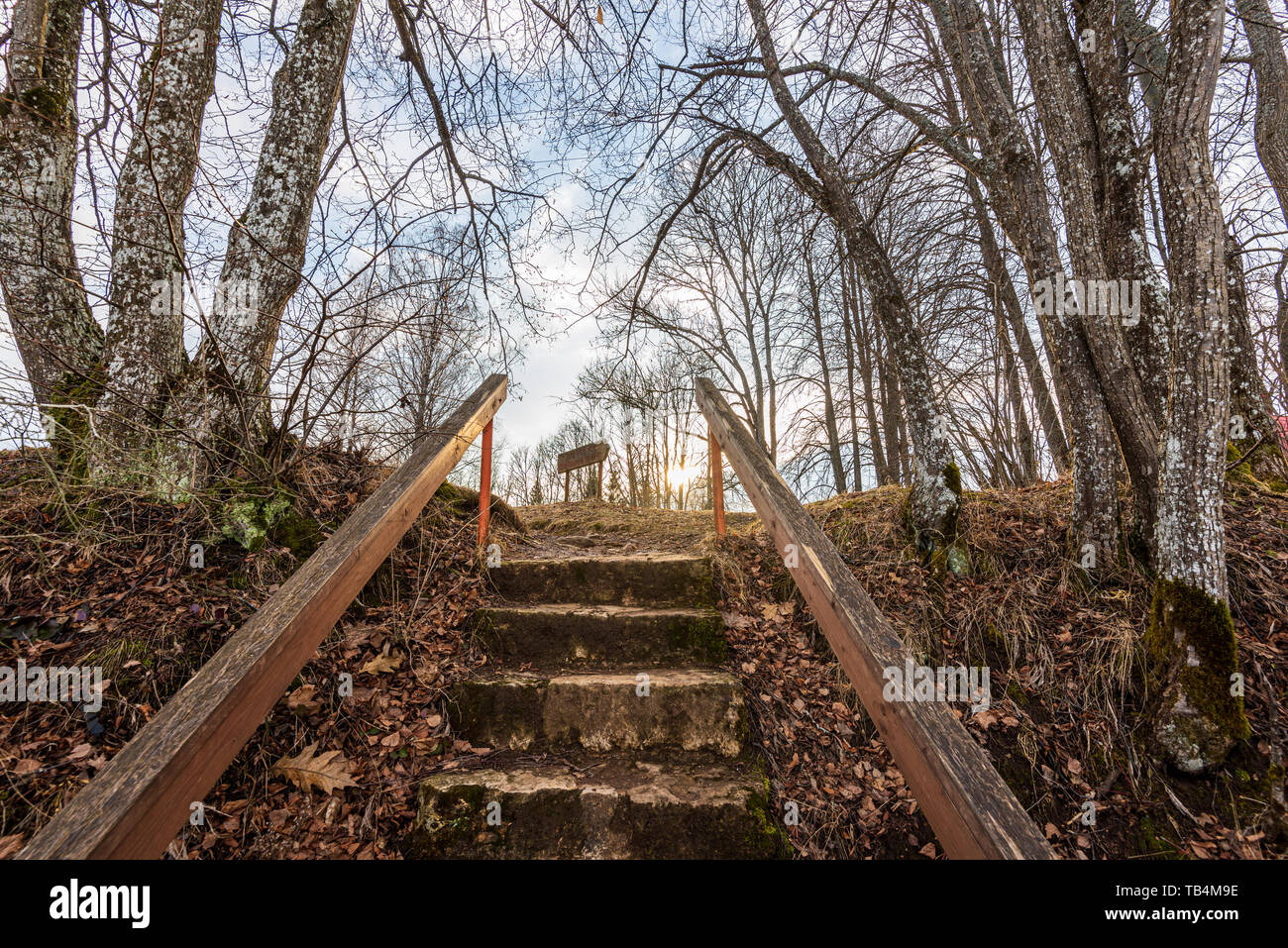 wooden fire watchtower construction details. forest tower Stock Photo ...