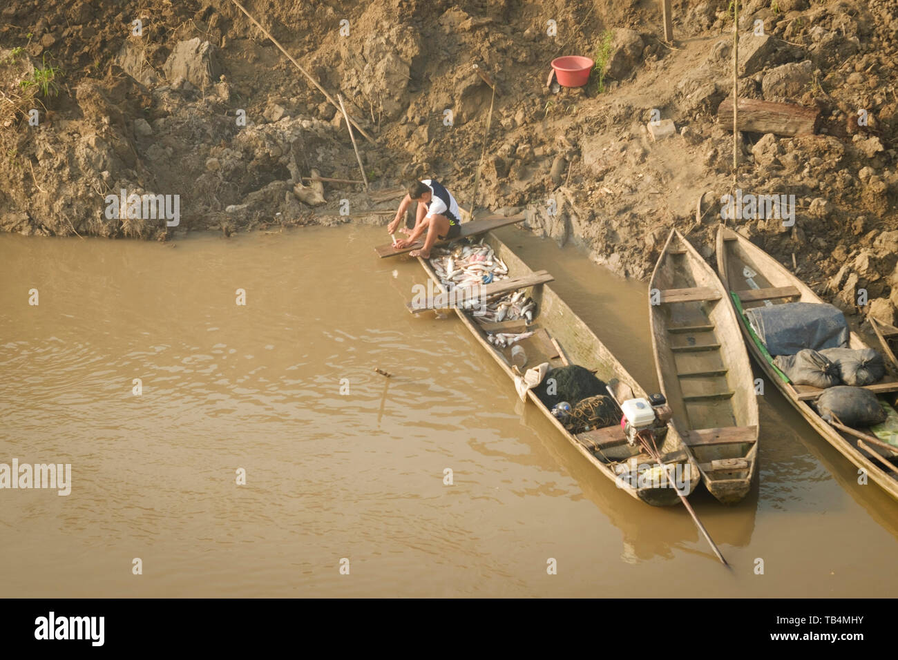 Fisherman cleaning fish on his wooden boat docked on the riverbank of ...