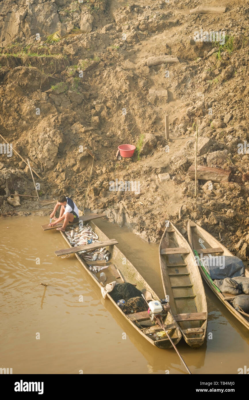Fisherman cleaning fish on his wooden boat docked on the riverbank of ...