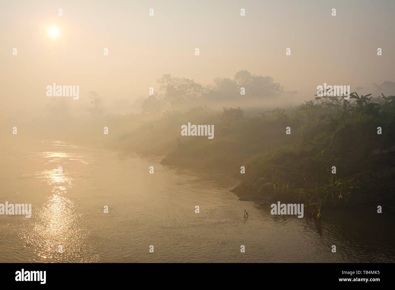 Misty morning in the Ucayali River seen from the ferry Iquitos-Pucallpa ...