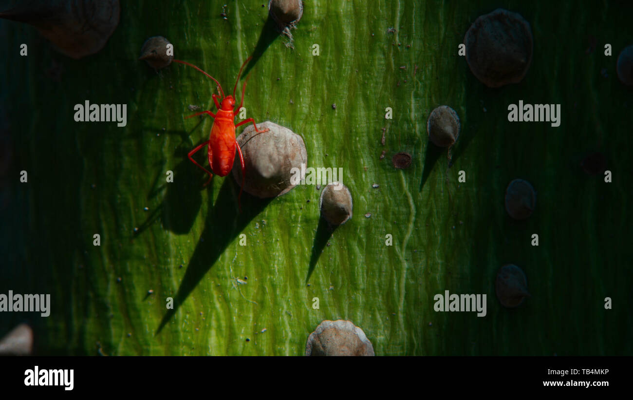 An image of a red-colored insect resembling a cockroach climbs trees A ...