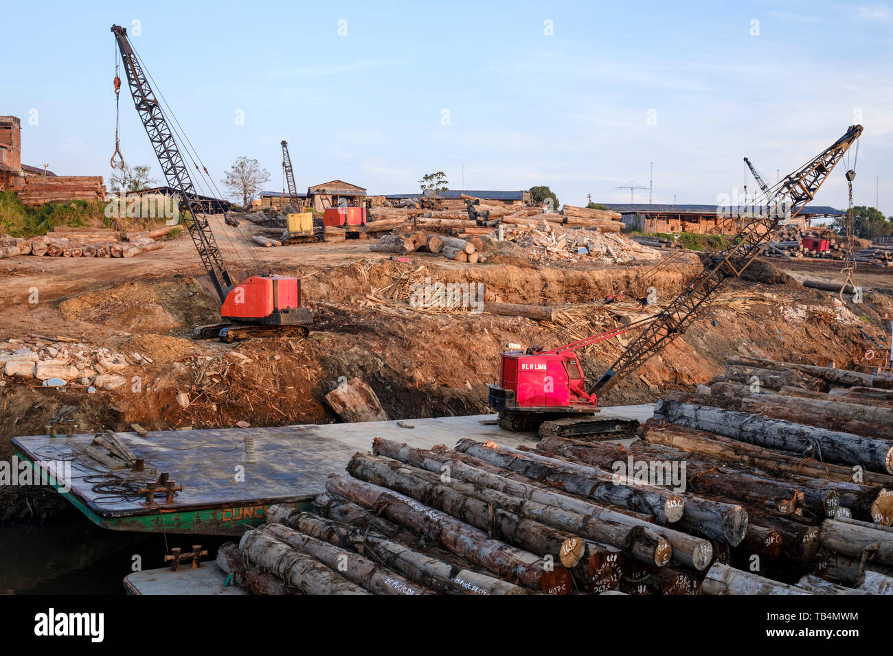 Logging boat unloading the cargo on the Pucallpa Port on the riverside ...