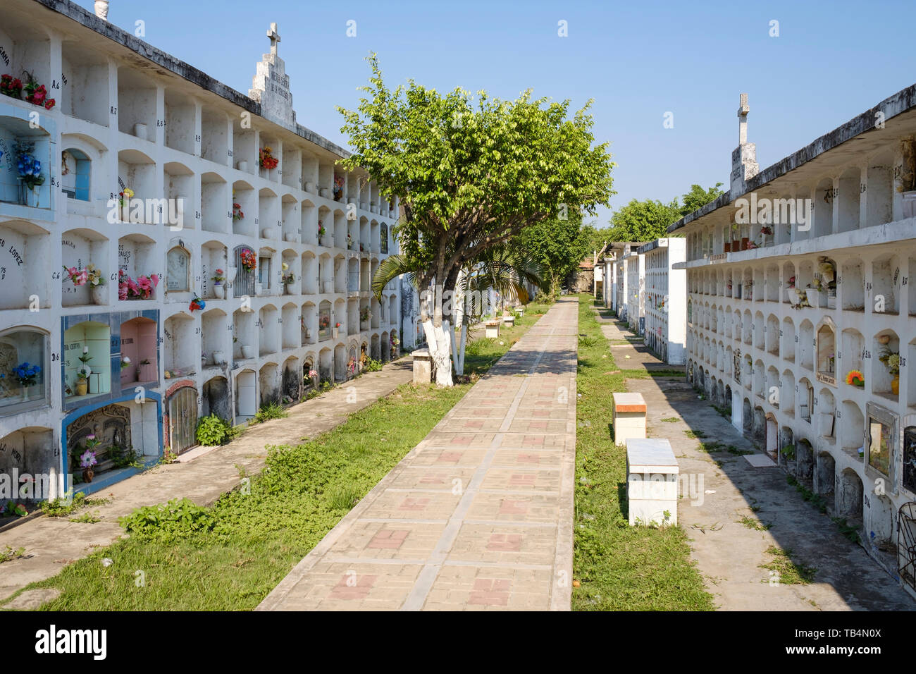 Cemetery niches in the Main Cemetery of Pucallpa, Peru Stock Photo - Alamy
