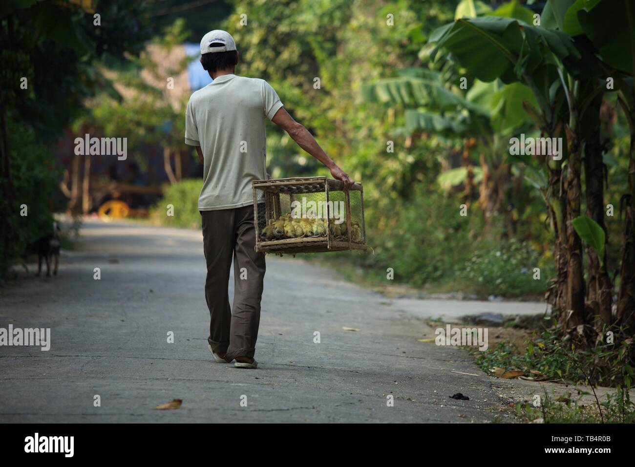 Man carrying bird cage hi-res stock photography and images - Alamy