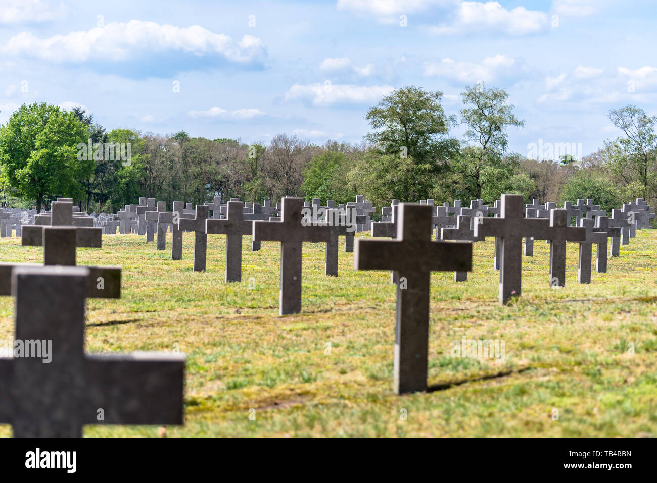 A lot of small, concrete crosses at the German war cemetery in the ...