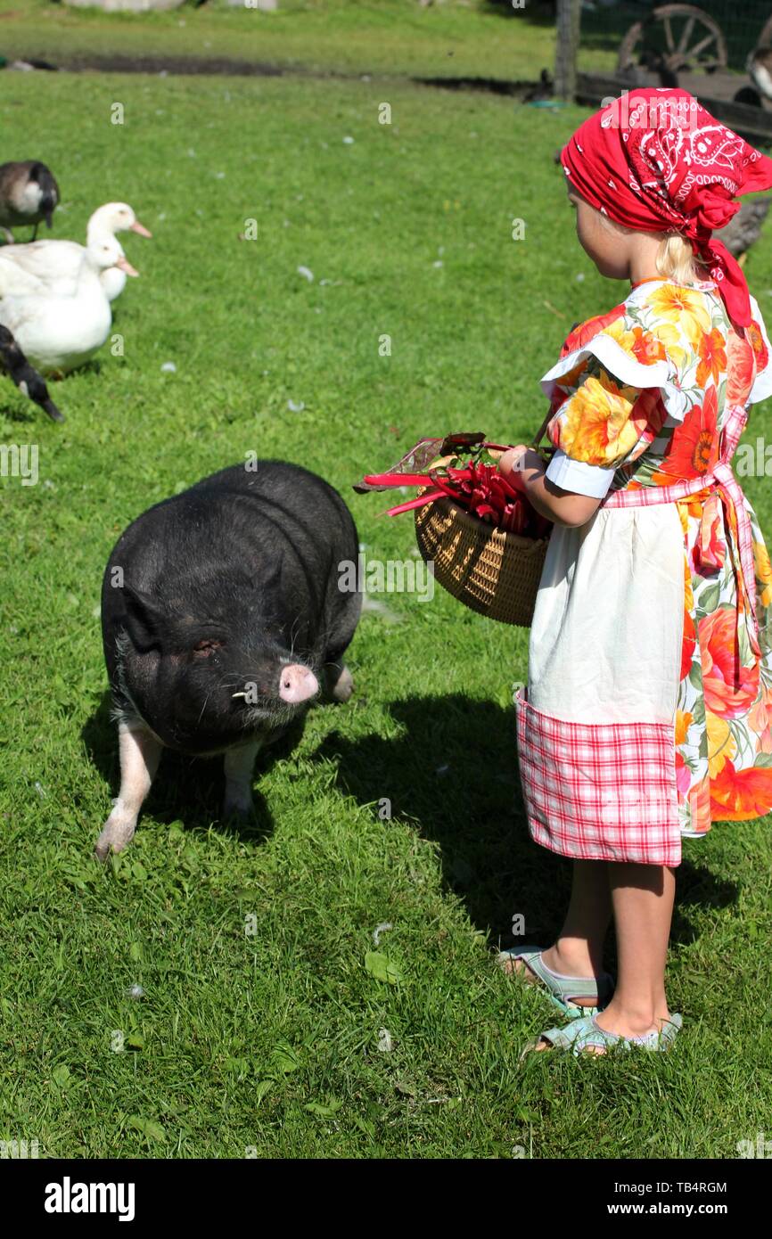A Girl at a Petting Zoo with Farm Animals Stock Photo - Alamy