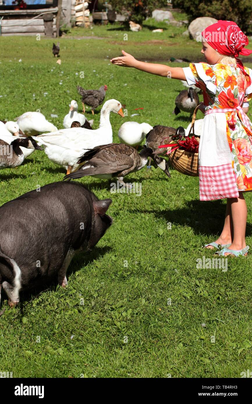 A Girl at a Petting Zoo with Farm Animals Stock Photo - Alamy