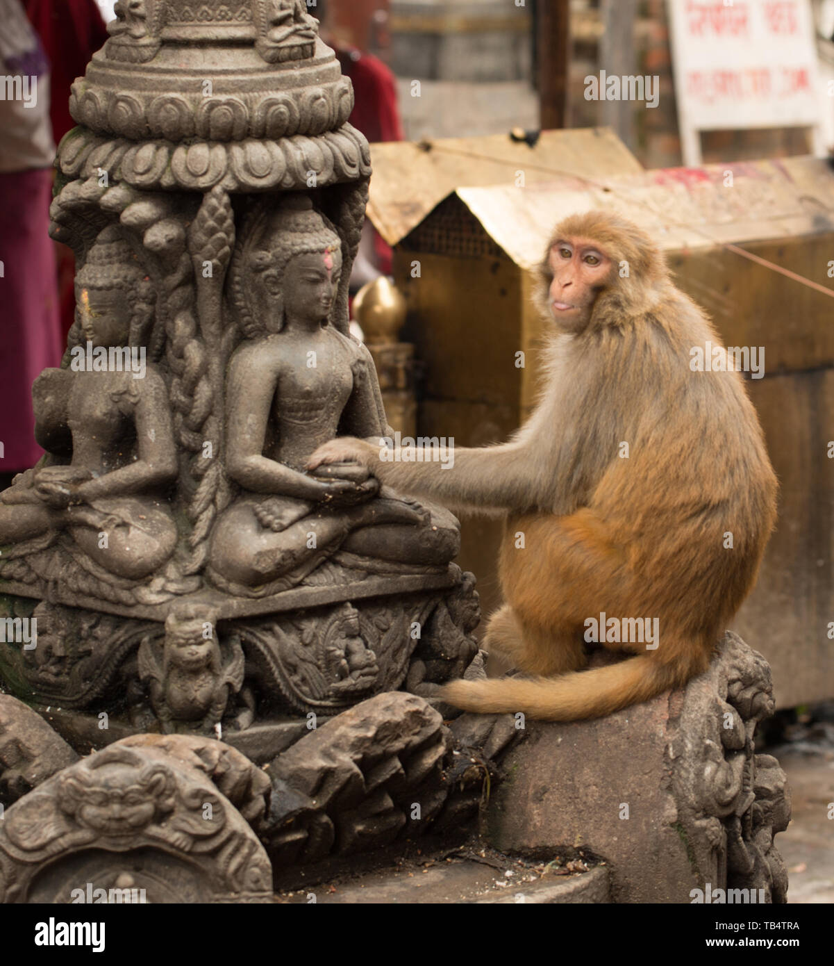 Prayer flags hindu temple hi-res stock photography and images - Alamy