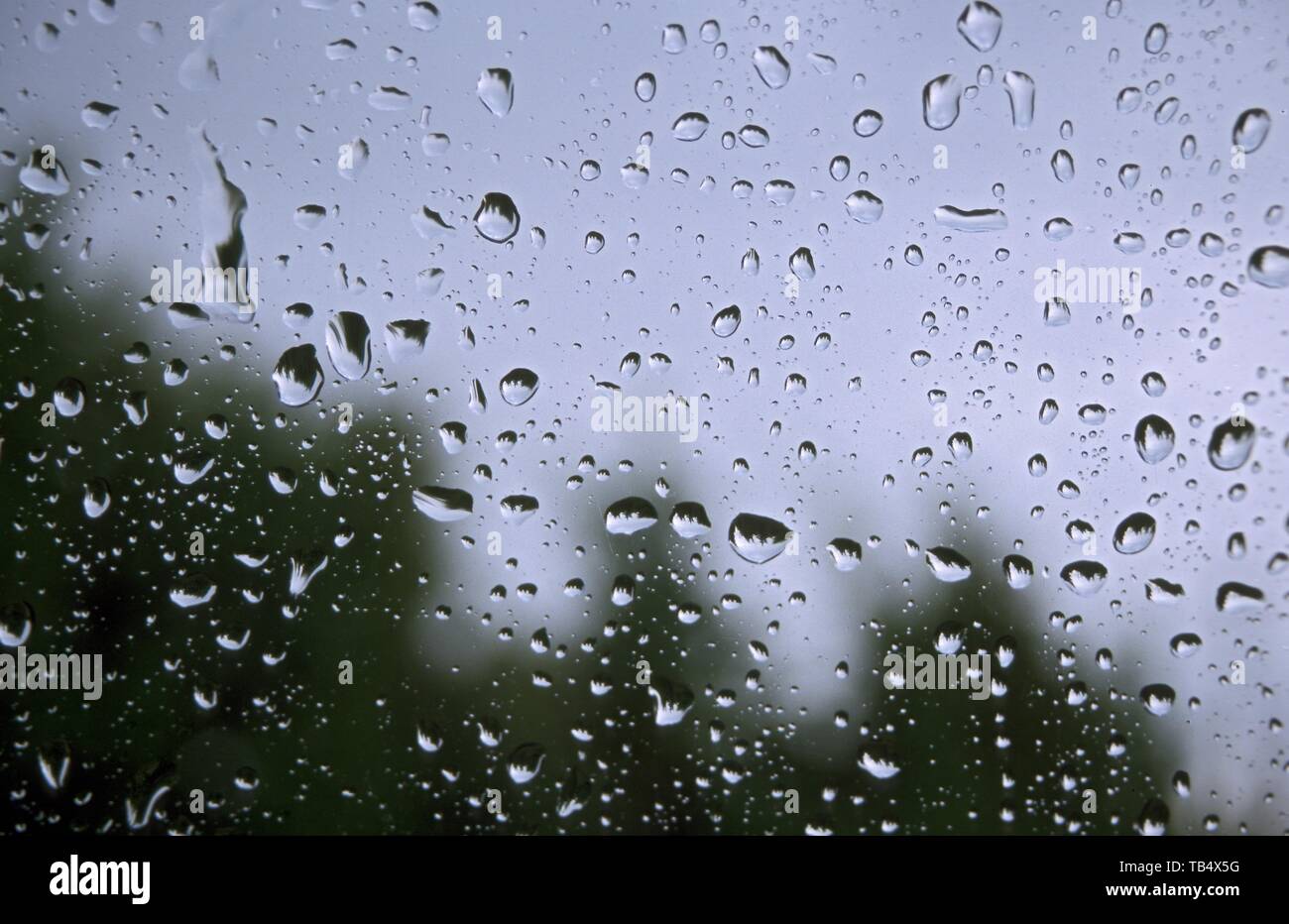 Waterdrops on Glass Stock Photo - Alamy
