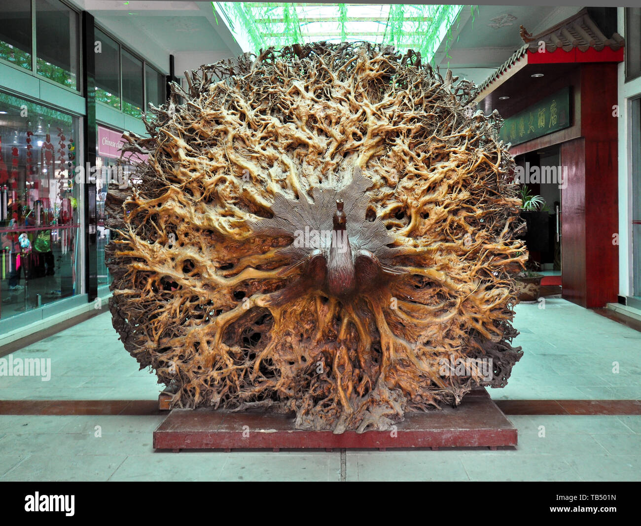 Root ball tree hi-res stock photography and images - Alamy
