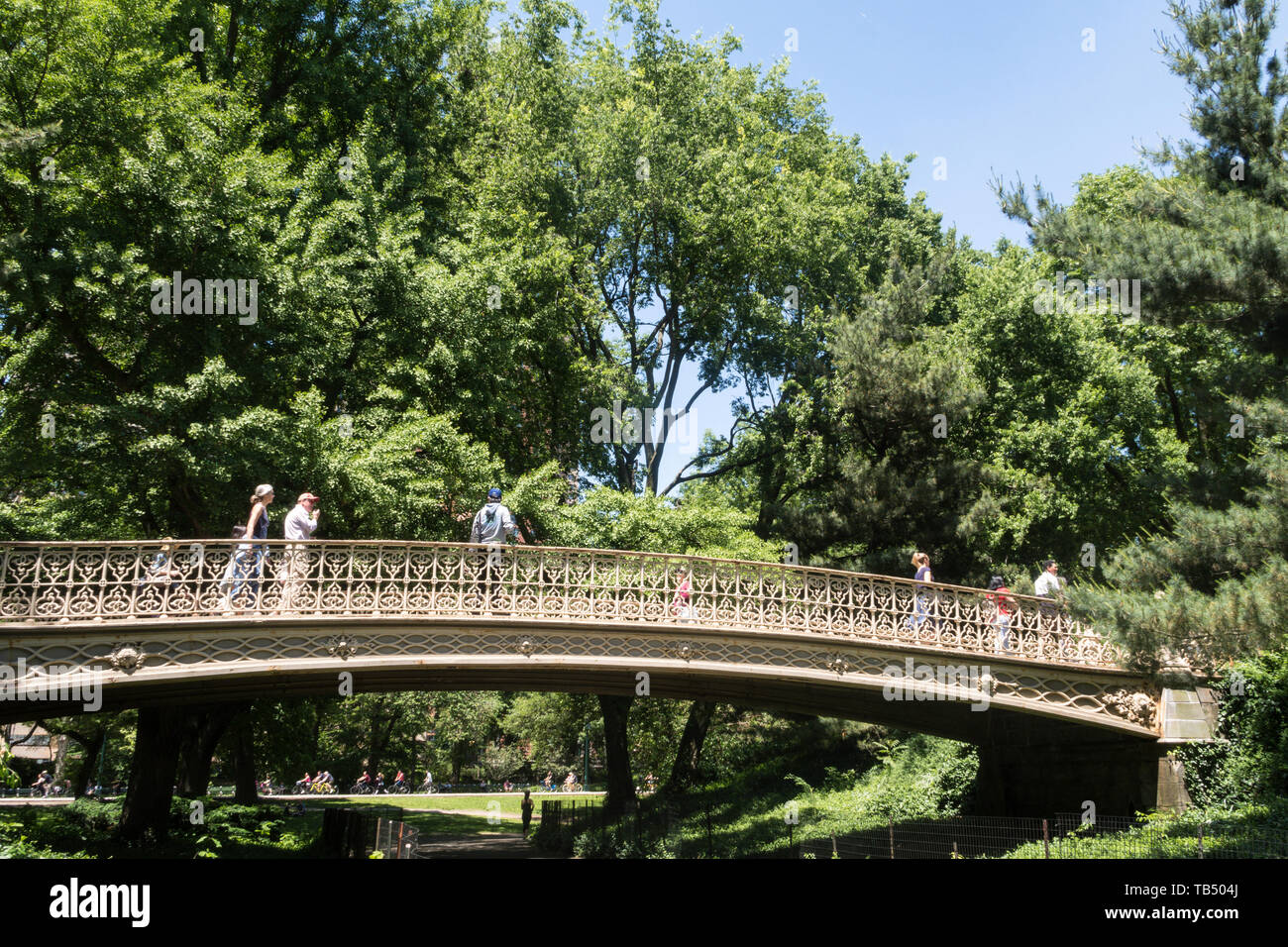 Pine Bank Bridge, Central Park, NYC Stock Photo - Alamy