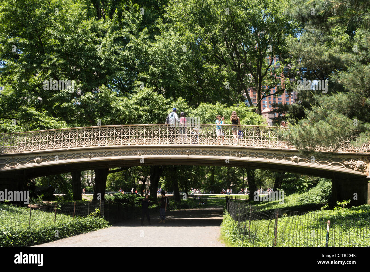 Pine Bank Bridge, Central Park, NYC Stock Photo - Alamy
