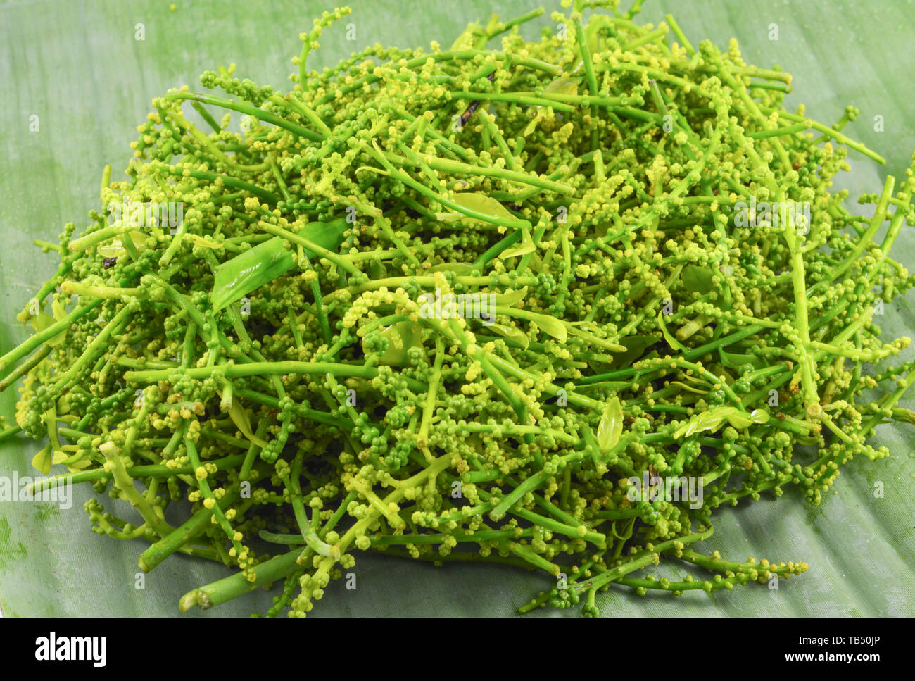 Leaf and flower of Melientha suavis pierre on banana leaf background ...