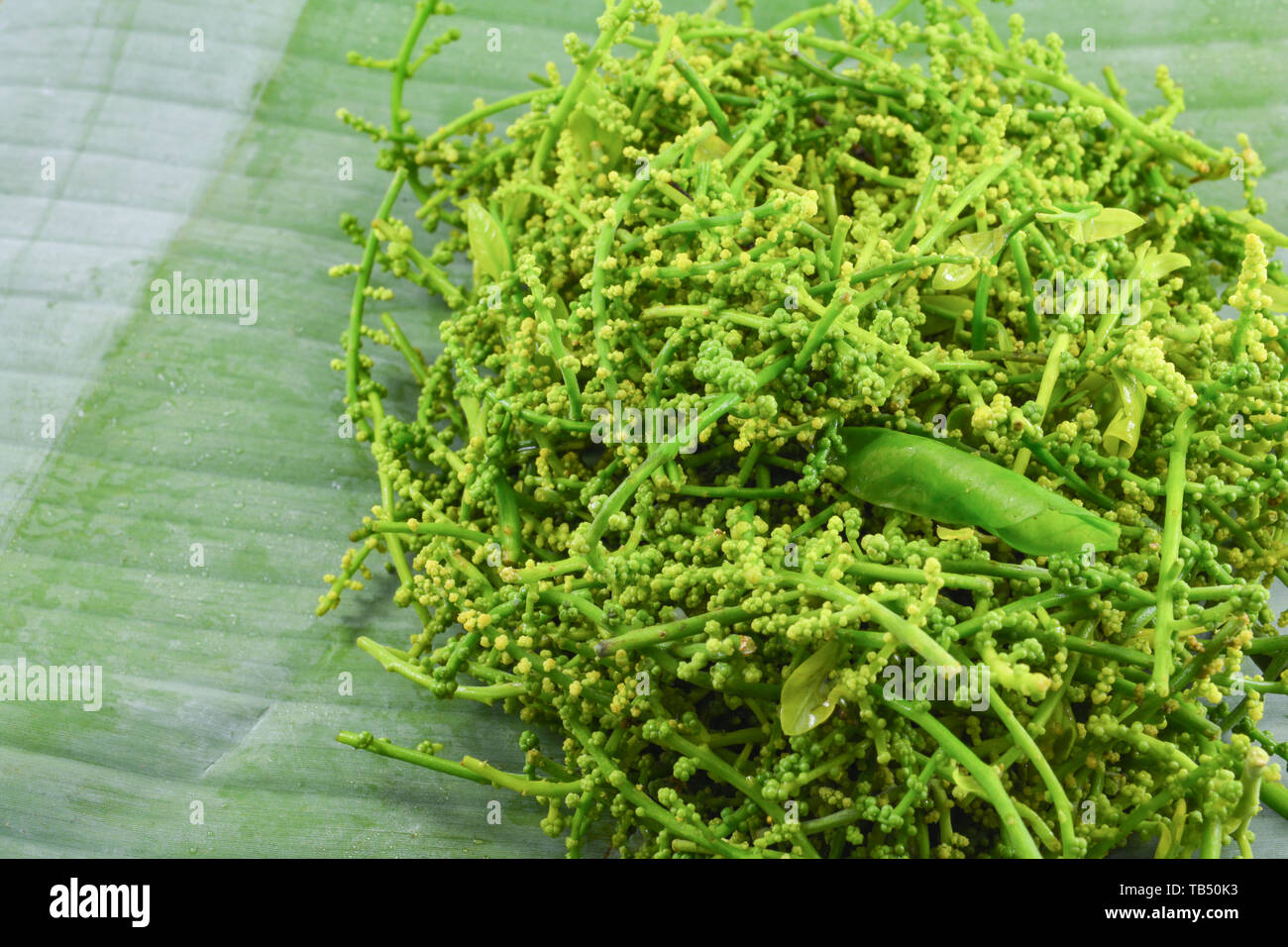 Leaf and flower of Melientha suavis pierre on banana leaf background ...