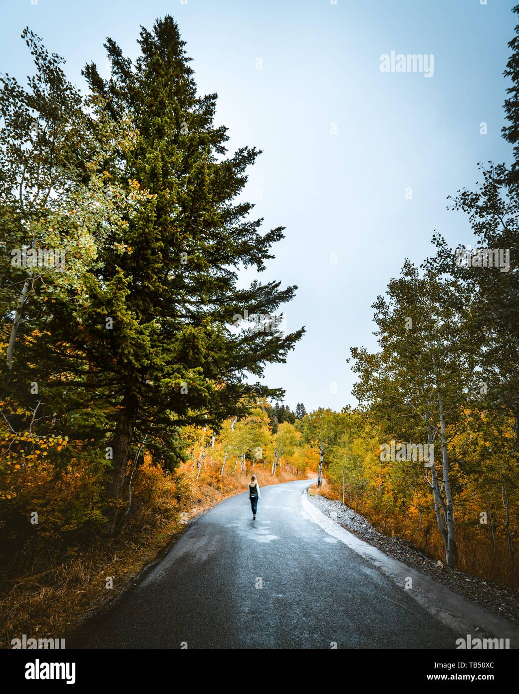 Female walking on a narrow road in the countryside Stock Photo - Alamy