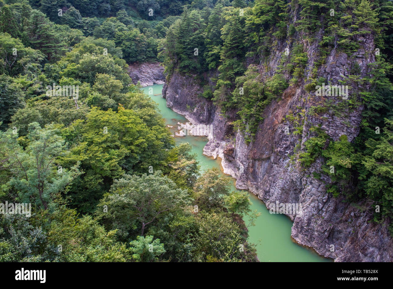 The river of kojirakawa near Narude Dam in Nanto,Toyama,Japan Stock ...