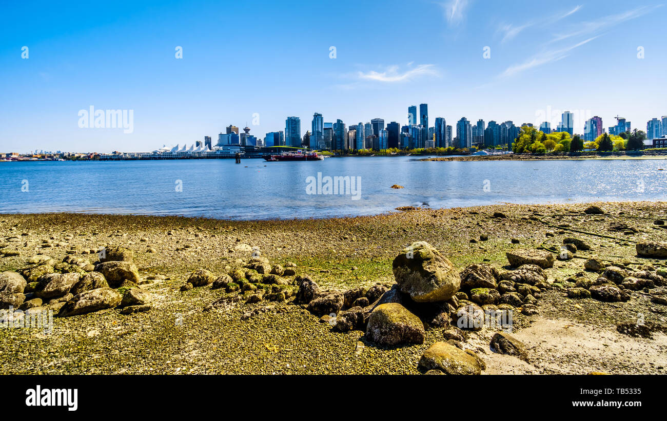 Seawall urban park hi-res stock photography and images - Alamy