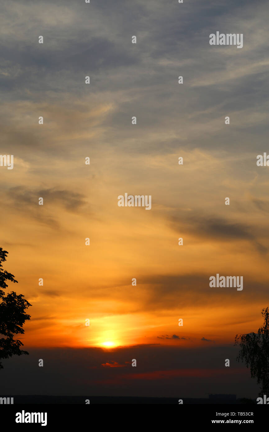 Beautiful nature unusual bushes hi-res stock photography and images - Alamy