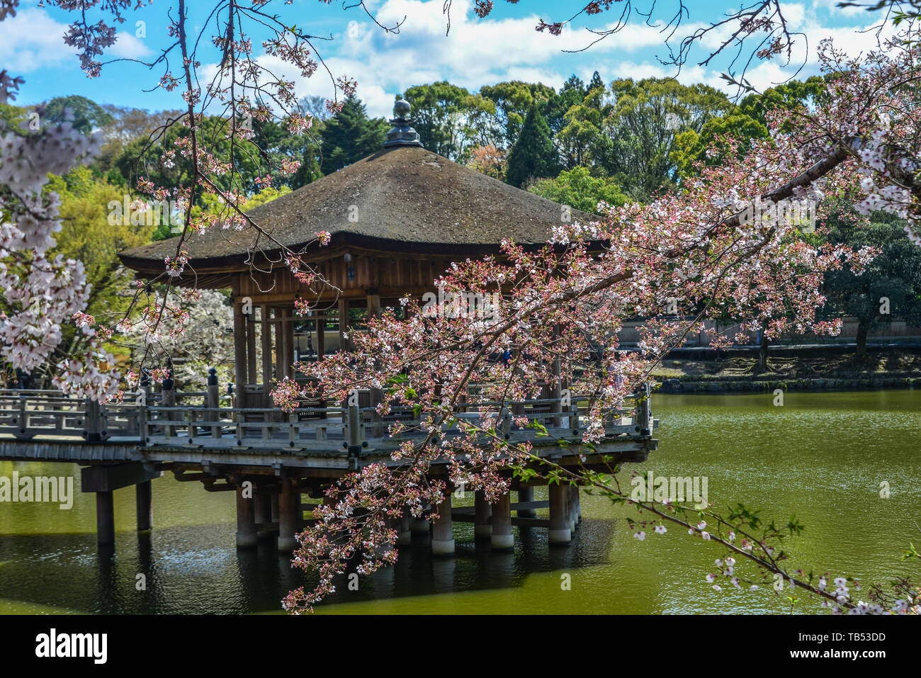 Sagi-ike Pond with the Ukimido Gazebo during cherry blossom in Nara ...