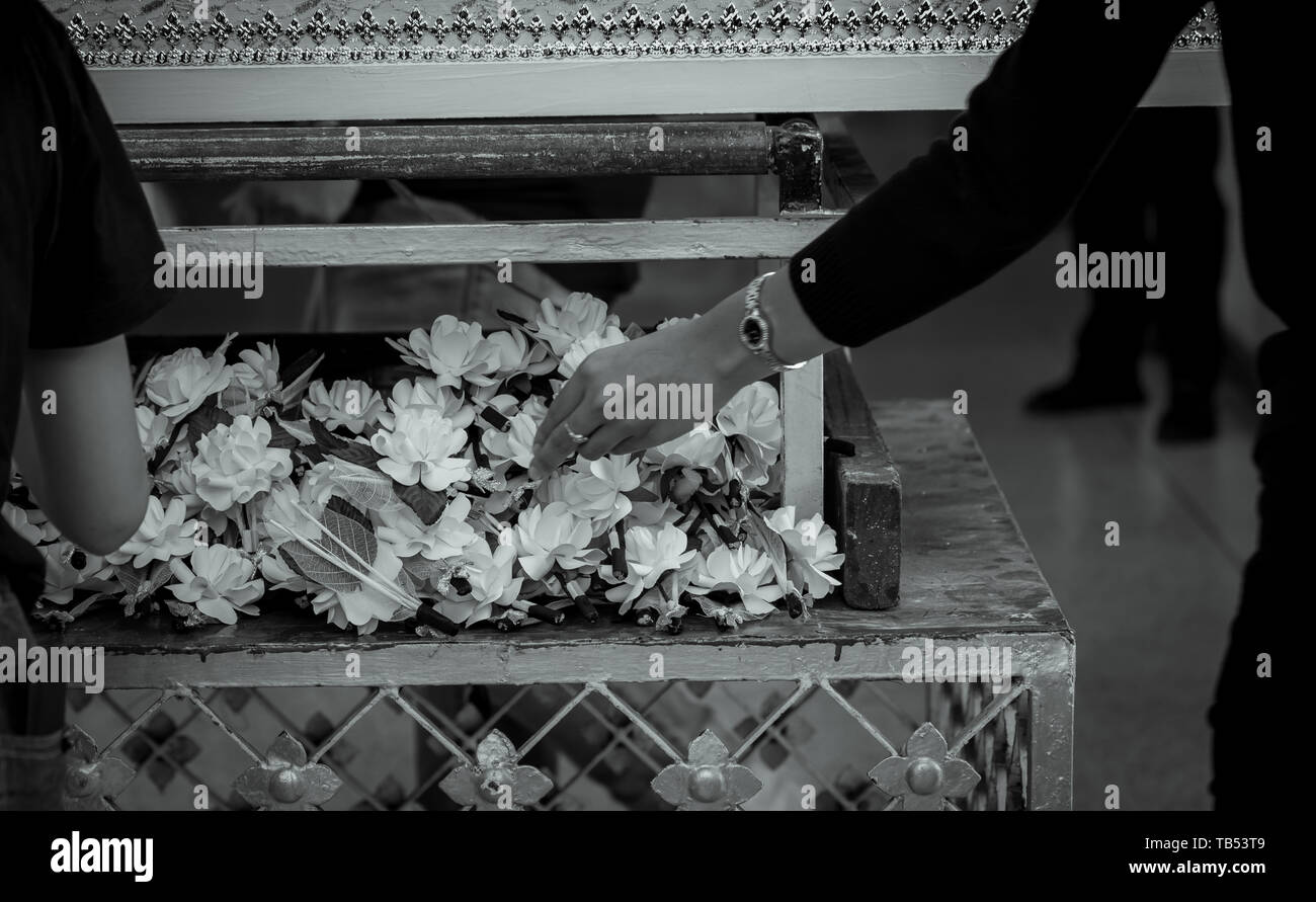Funeral in Thailand. People put sandalwood flower to pay final tribute ...
