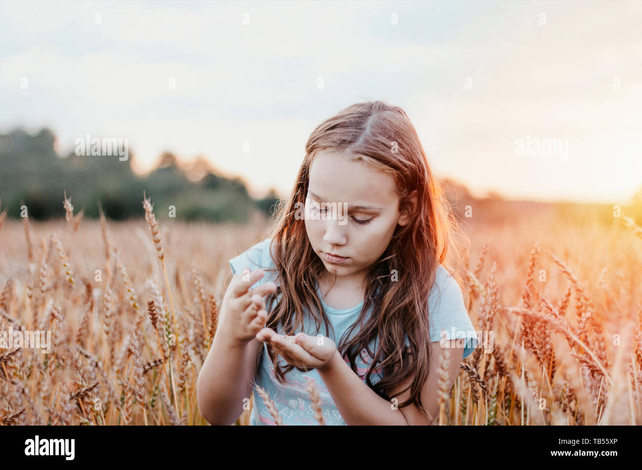 Beautiful tweens girl with long hair on the wheat field at sunset time ...