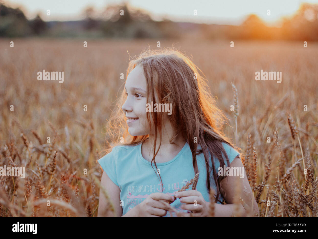 Happy beautiful tweens girl with long hair on the wheat field at sunset ...