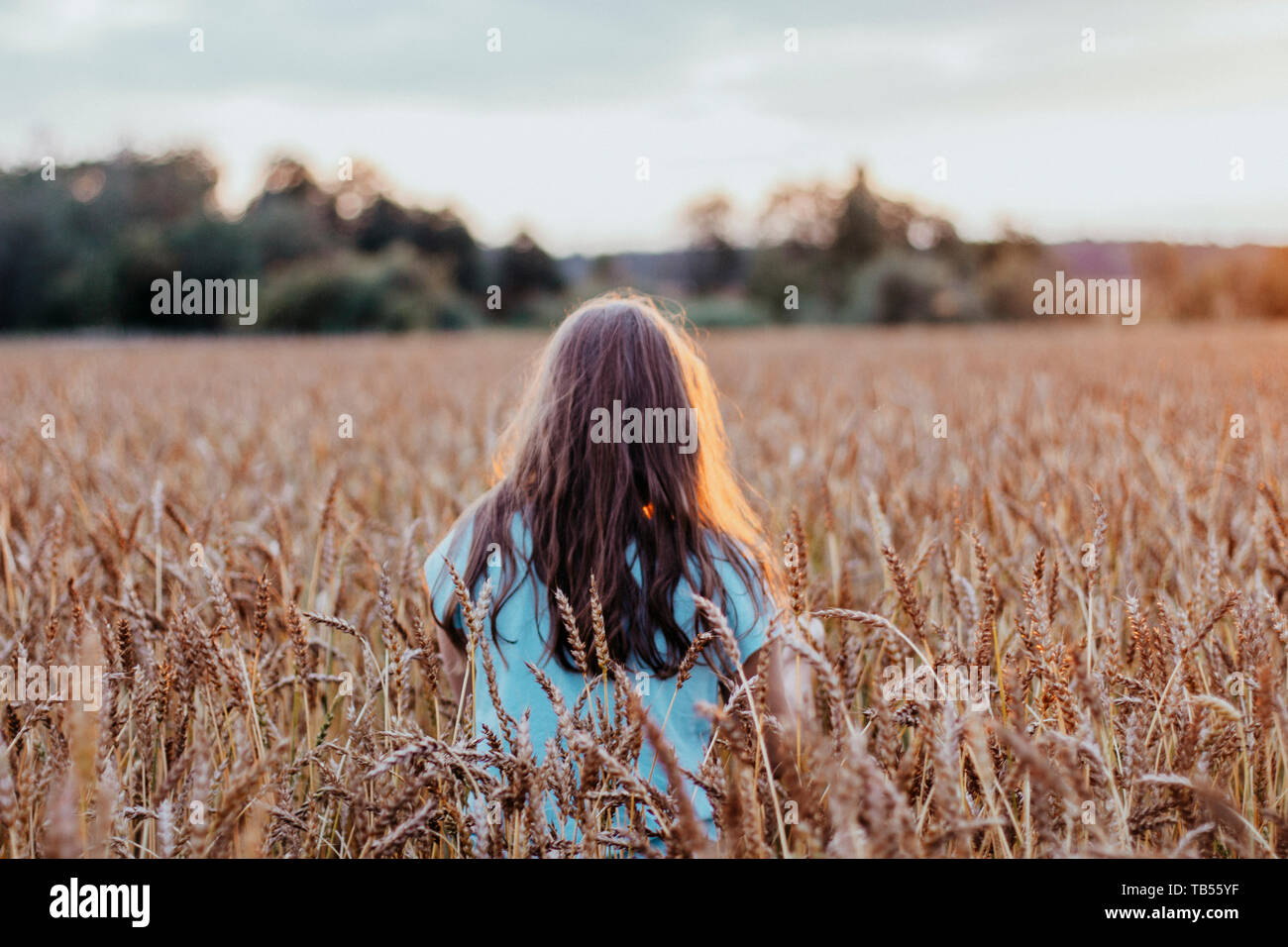 Happy beautiful tweens girl with long hair on the wheat field at sunset ...