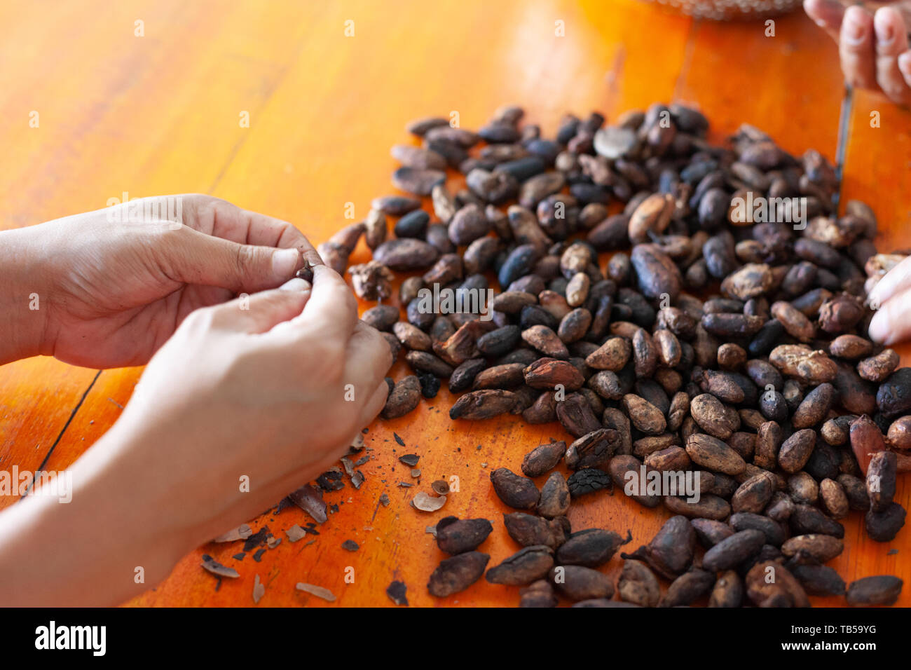 Winnowing cocoa beans hi-res stock photography and images - Alamy