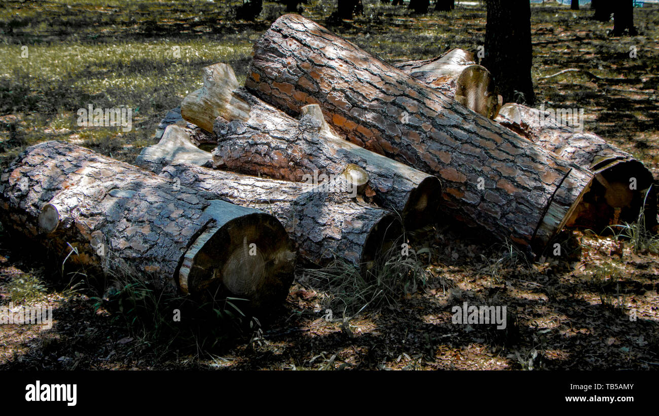Stack of firewood. Cut up log pile Stock Photo - Alamy