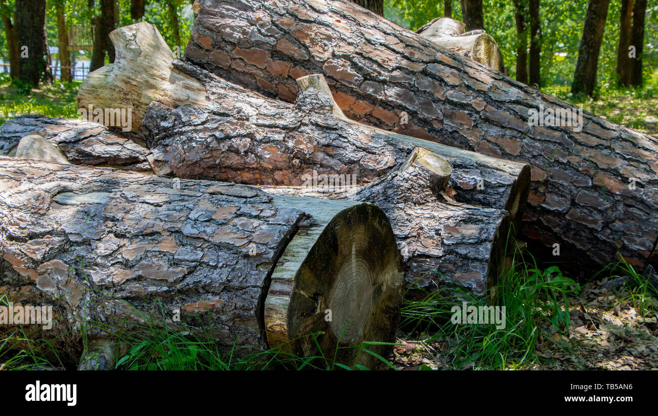 Stack of firewood. Cut up log pile Stock Photo - Alamy