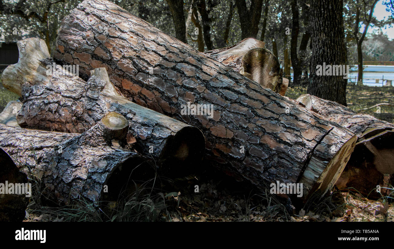 Stack of firewood. Cut up log pile Stock Photo - Alamy
