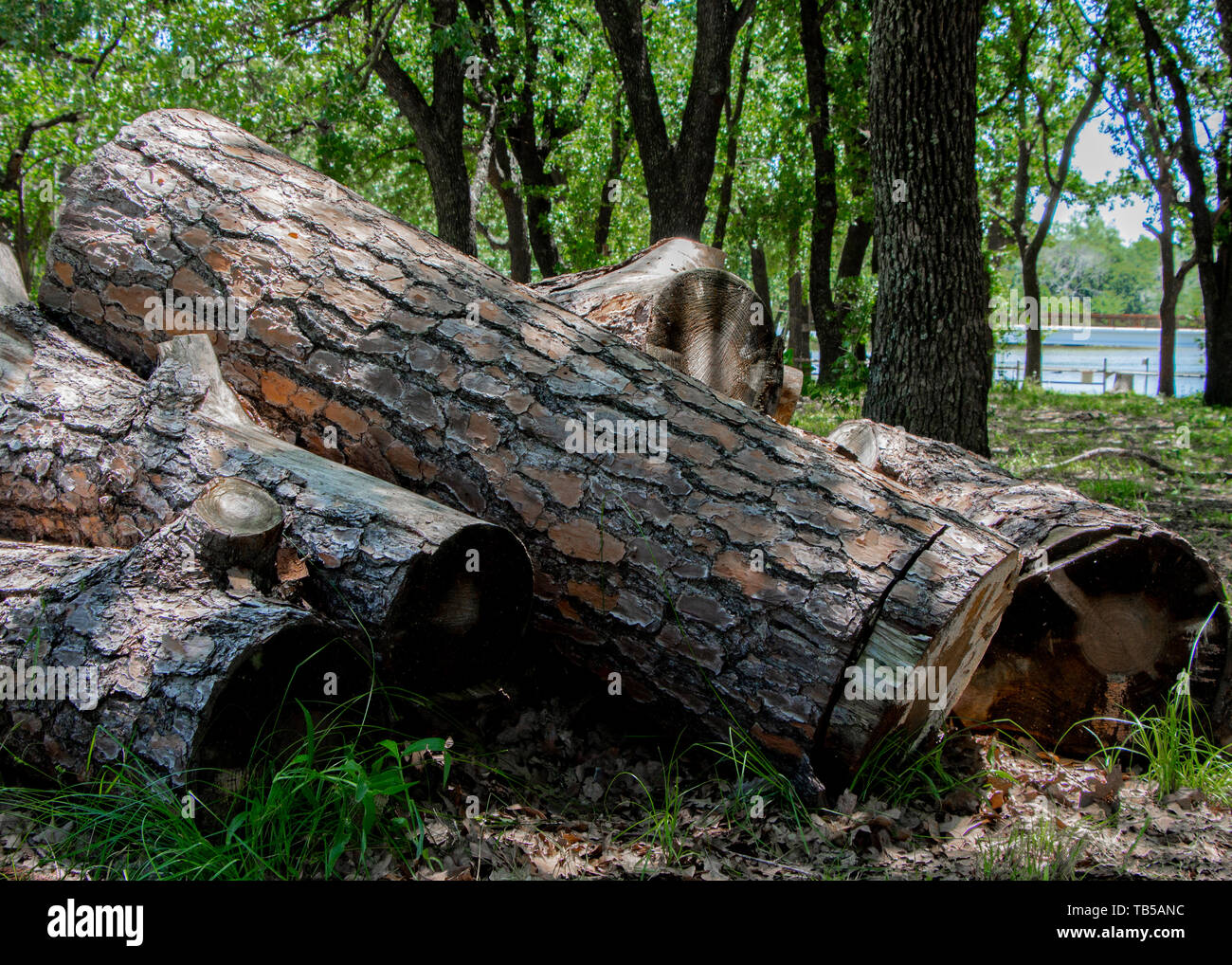 Stack of firewood. Cut up log pile Stock Photo - Alamy