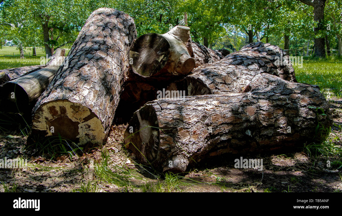Stack of firewood. Cut up log pile Stock Photo - Alamy
