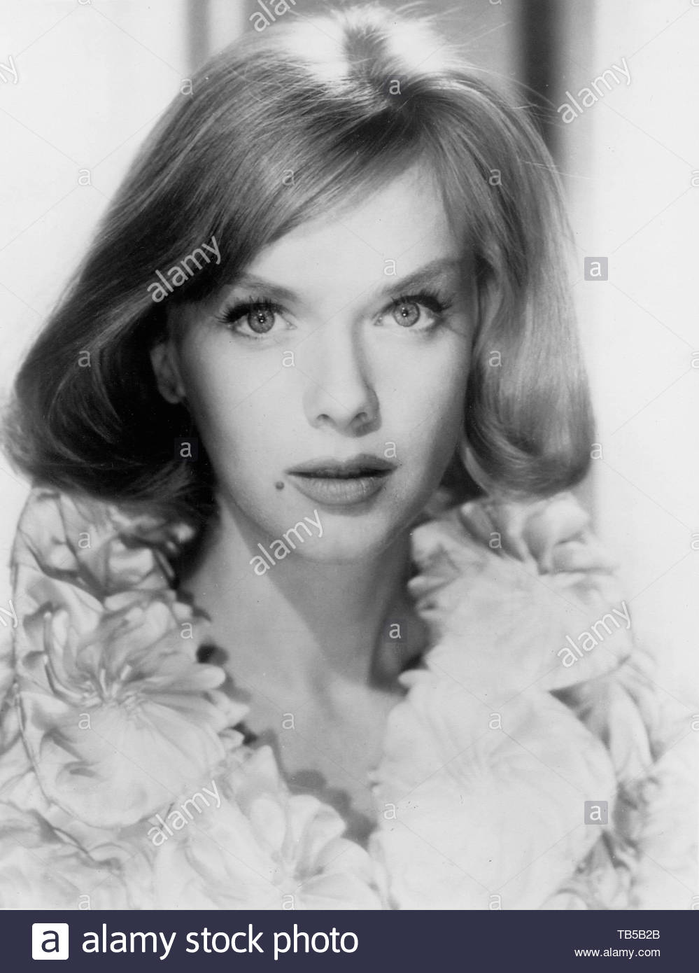 Anne Francis Actress High Resolution Stock Photography and Images - Alamy