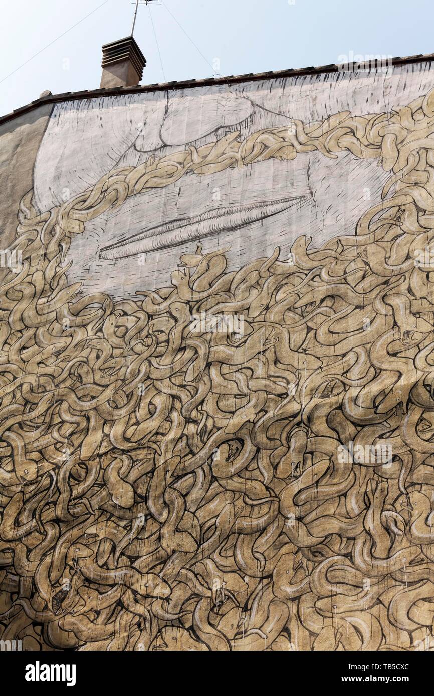 Mouth with full beard of snakes, mural in Carme district, old town ...