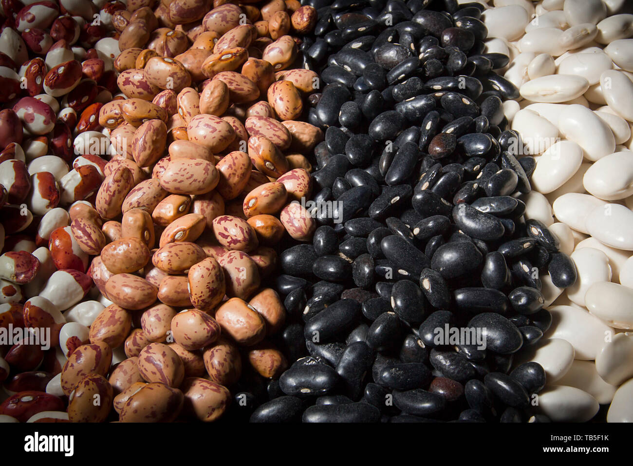 Mix of different in size and color of beans Stock Photo - Alamy