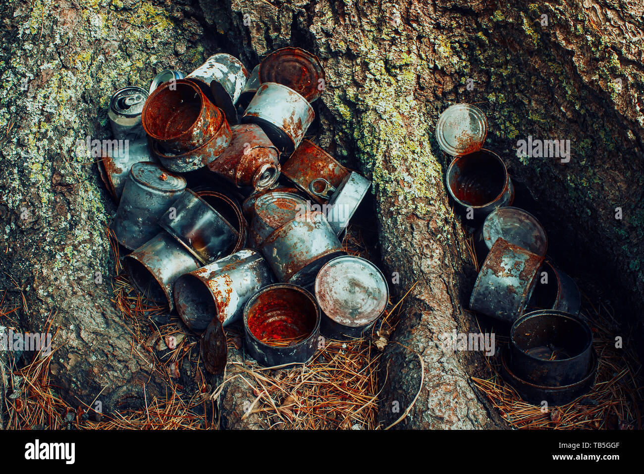 Metal cans beach hi-res stock photography and images - Alamy